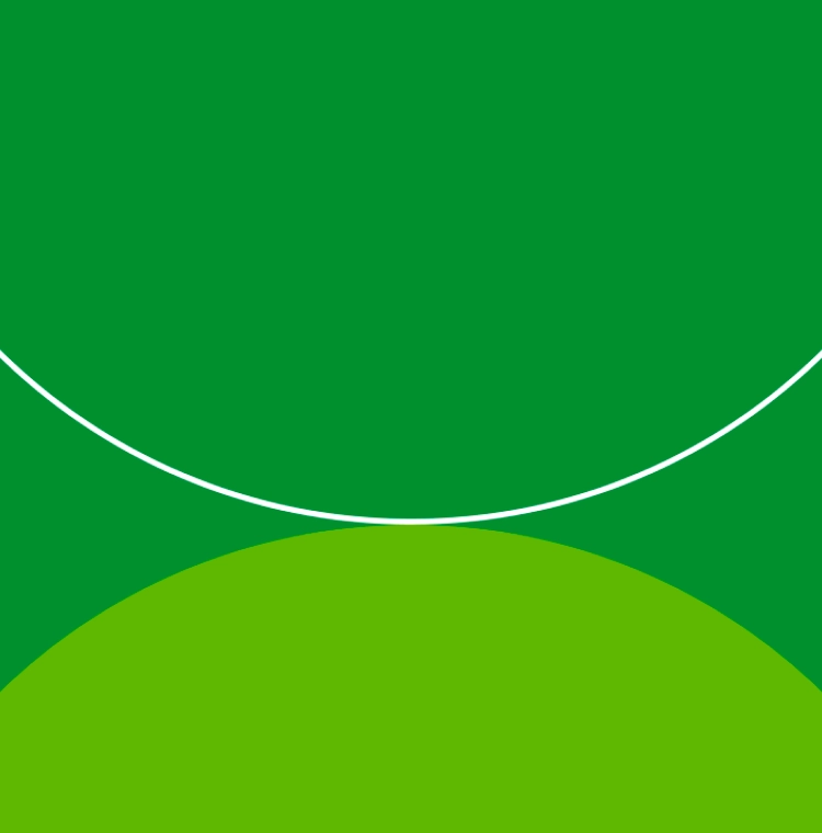 Marcas | Fruki Bebidas